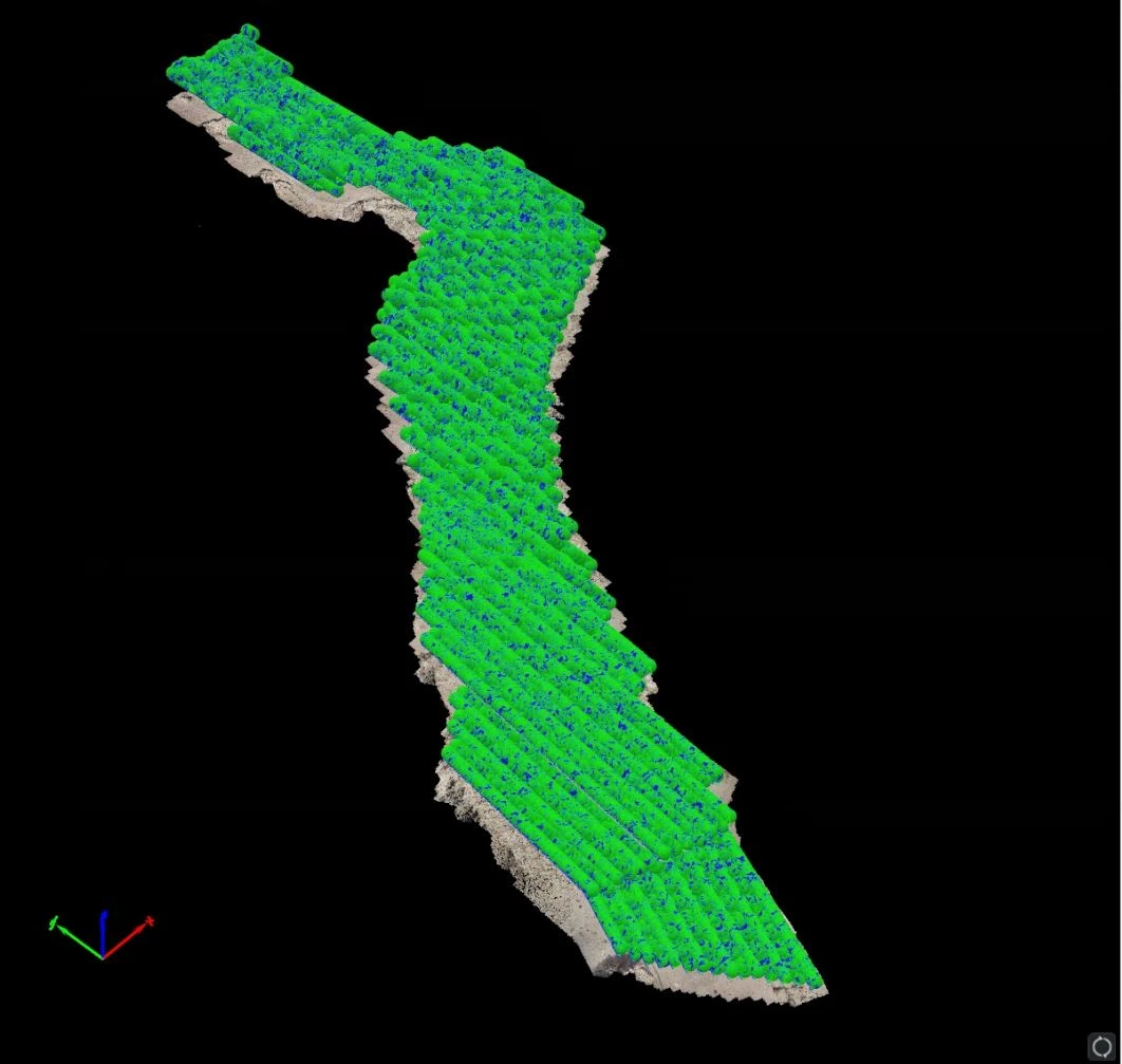 Falconviz